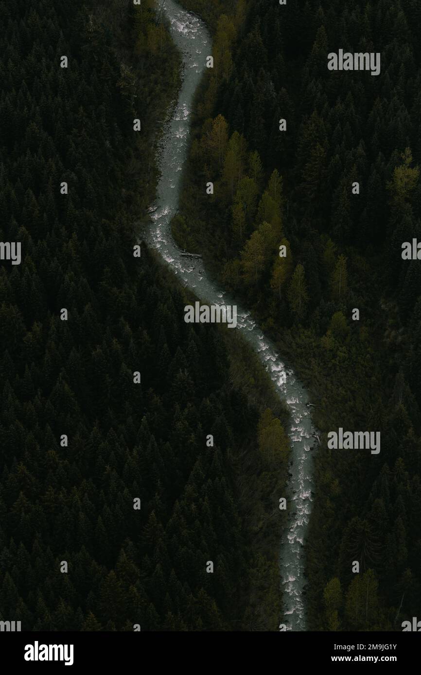 a river flowing among trees in a forest Stock Photo - Alamy