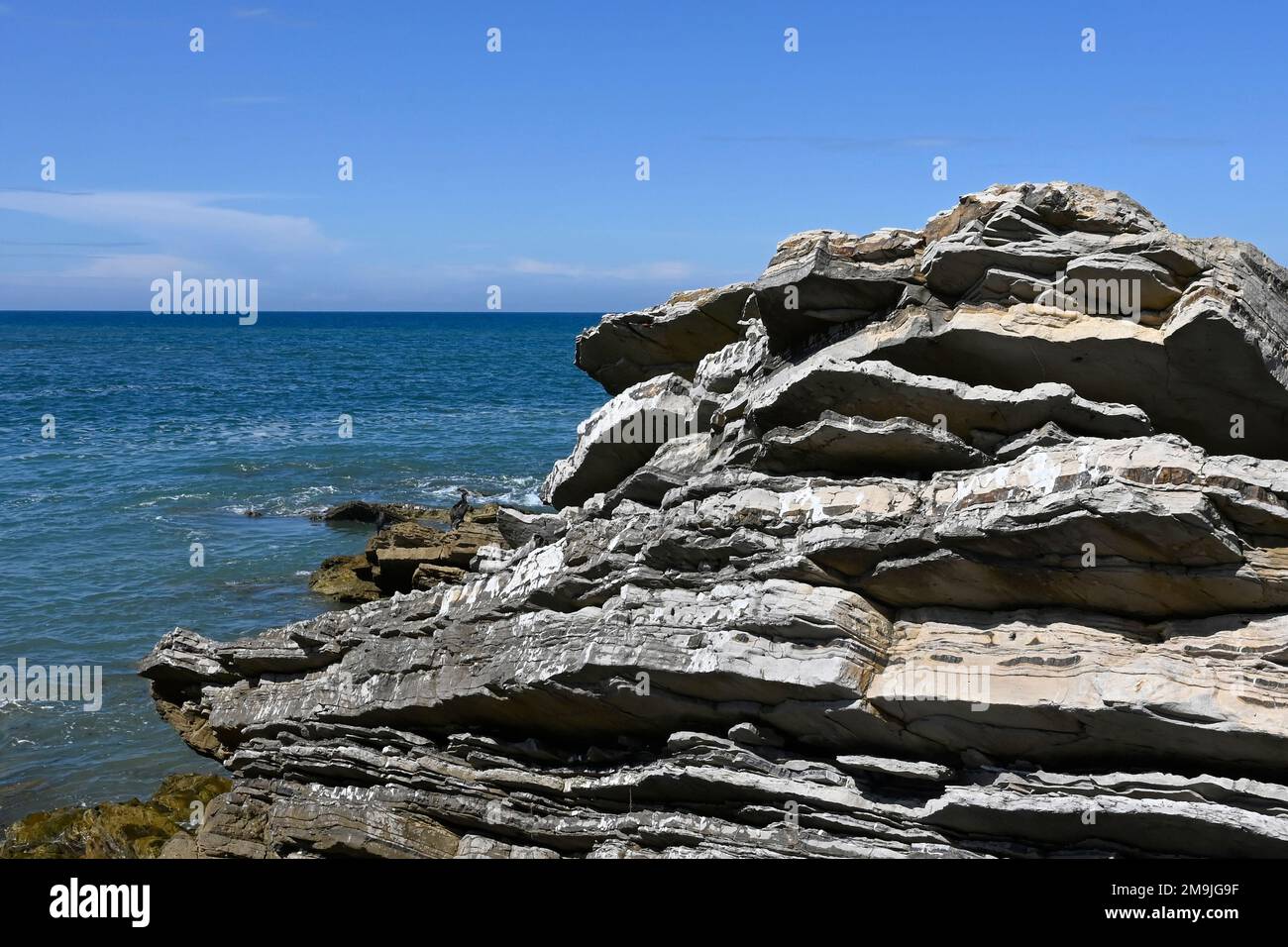 Flysch is a typical geological element of the Côte Basque, the coast of ...