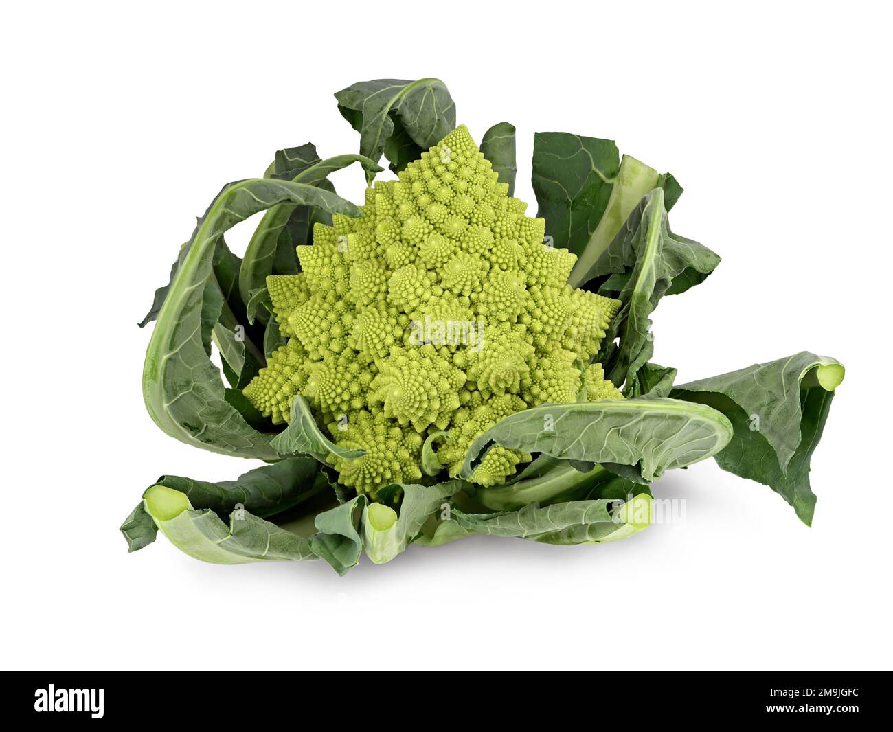 Romanesco broccoli or Roman cauliflower with leafs isolated on white ...