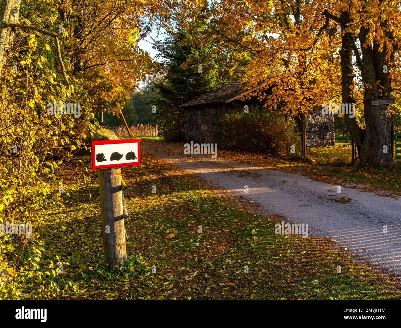 Hedgehog sign near path in forest, Lahemaa National Park, Northern ...