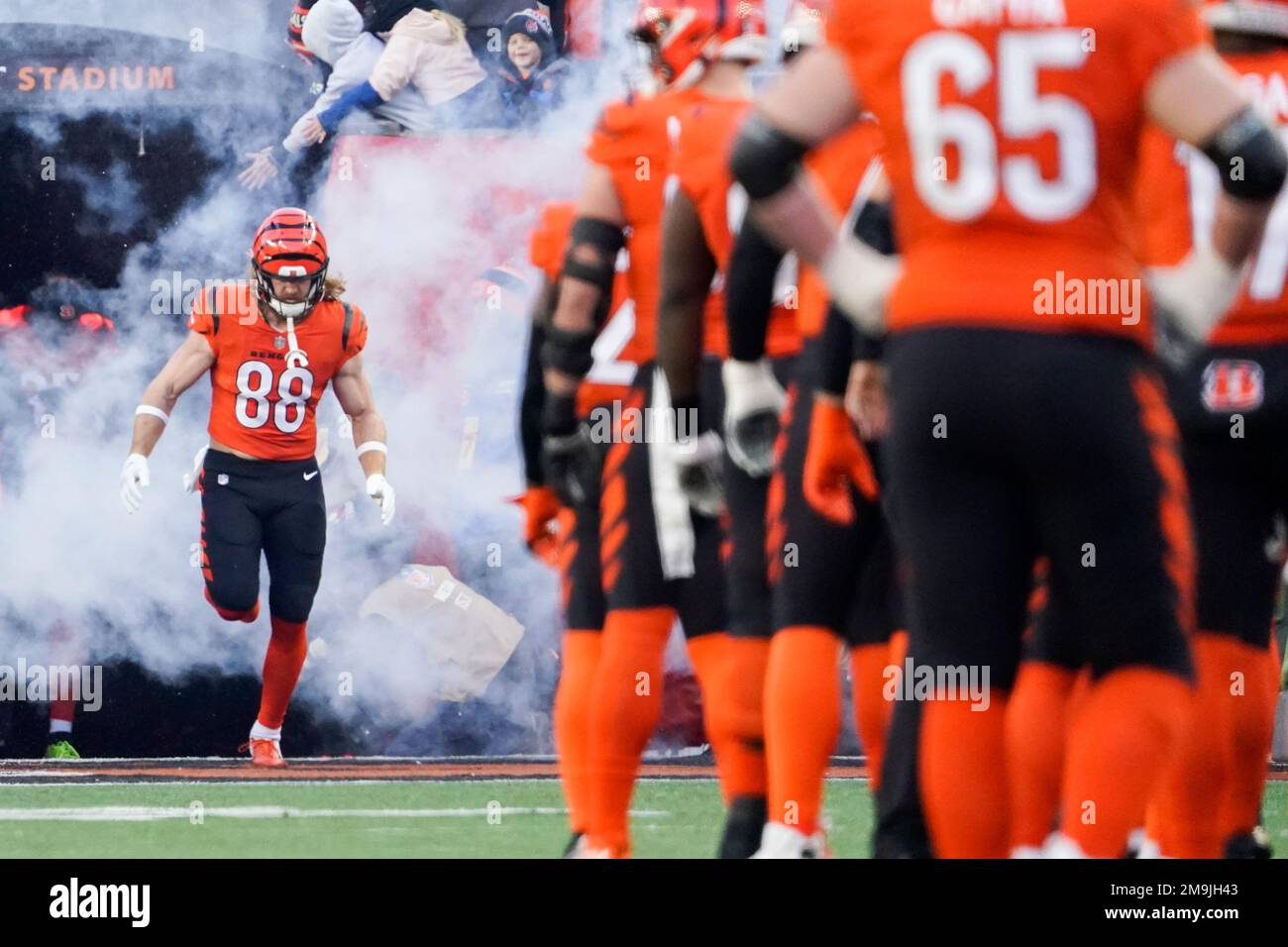 Cincinnati Bengals tight end Hayden Hurst (88) takes the field during ...