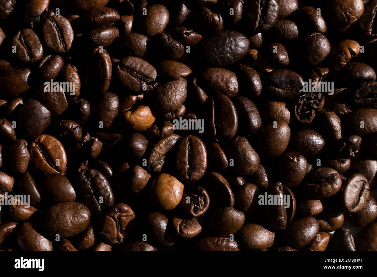 Coffee beans texture and background for design. Close up of coffee ...