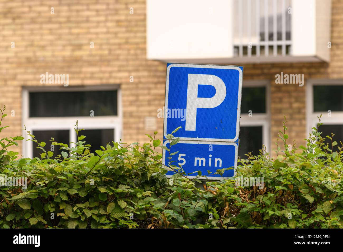 a Closeup of a blue parking sign Stock Photo - Alamy