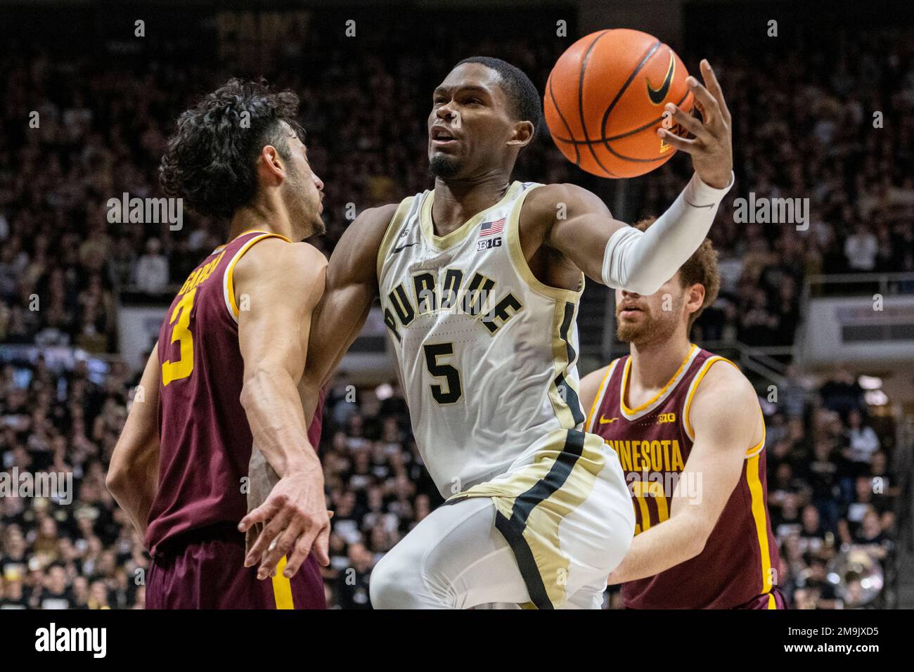 Purdue guard Brandon Newman (5) during the second half of an NCAA ...