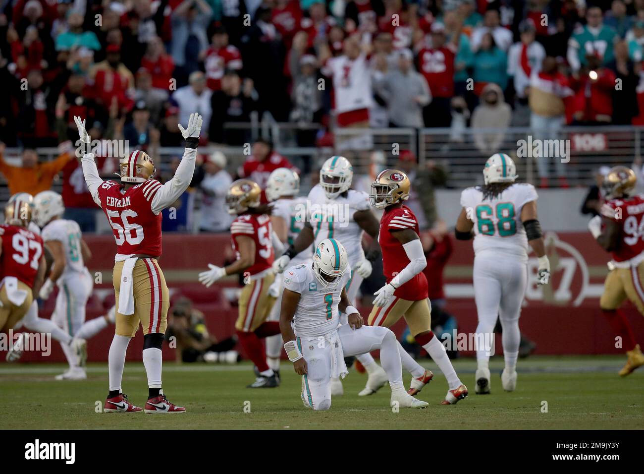 Miami Dolphins quarterback Tua Tagovailoa (1) kneels after a bumble in ...