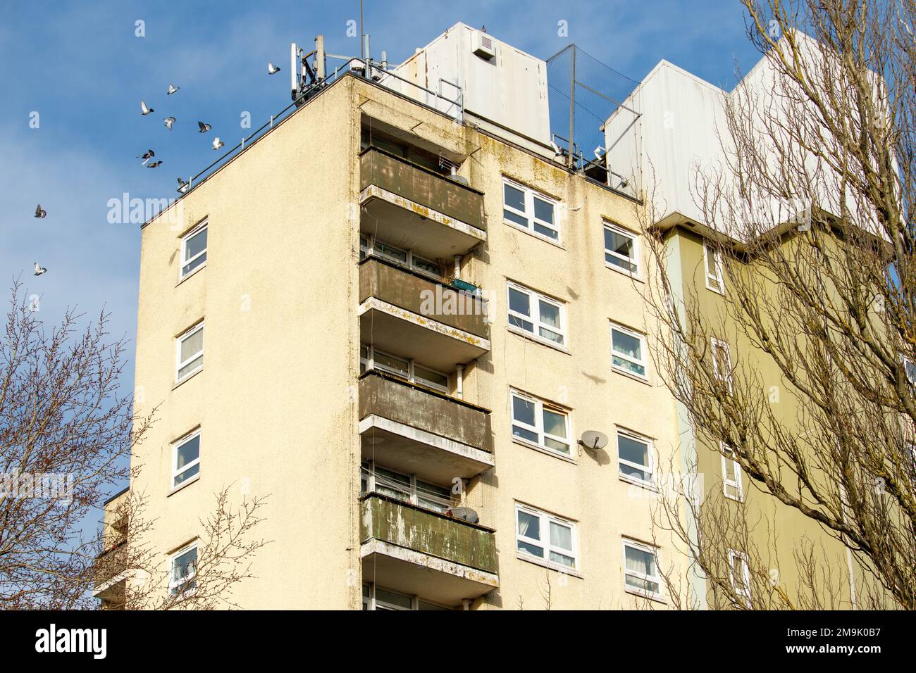Tower block flats in Ferrers Close Coventry that are are under threat ...