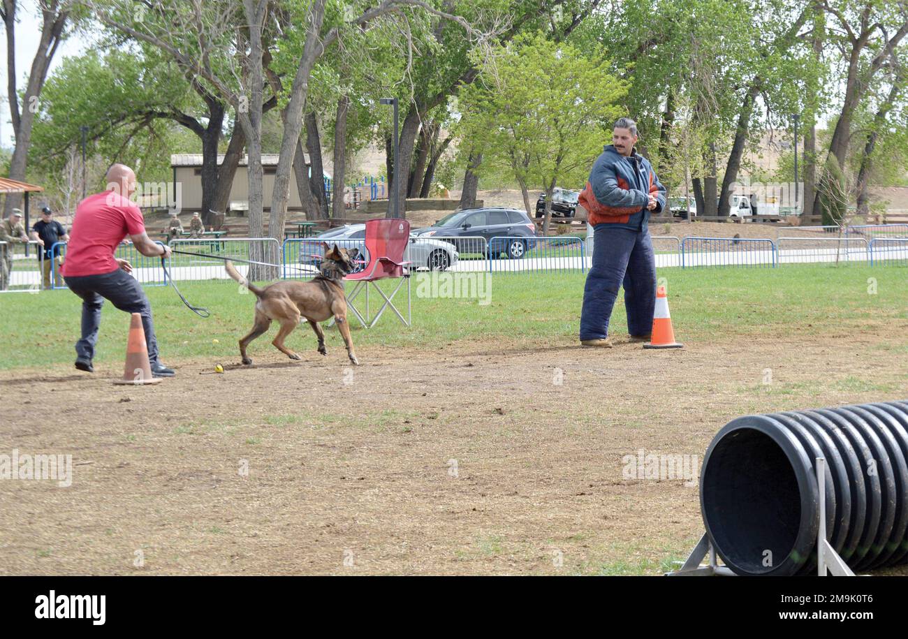 FORT CARSON, Colo. — Billy Sawyer, left, restrains his K-9 from a decoy ...