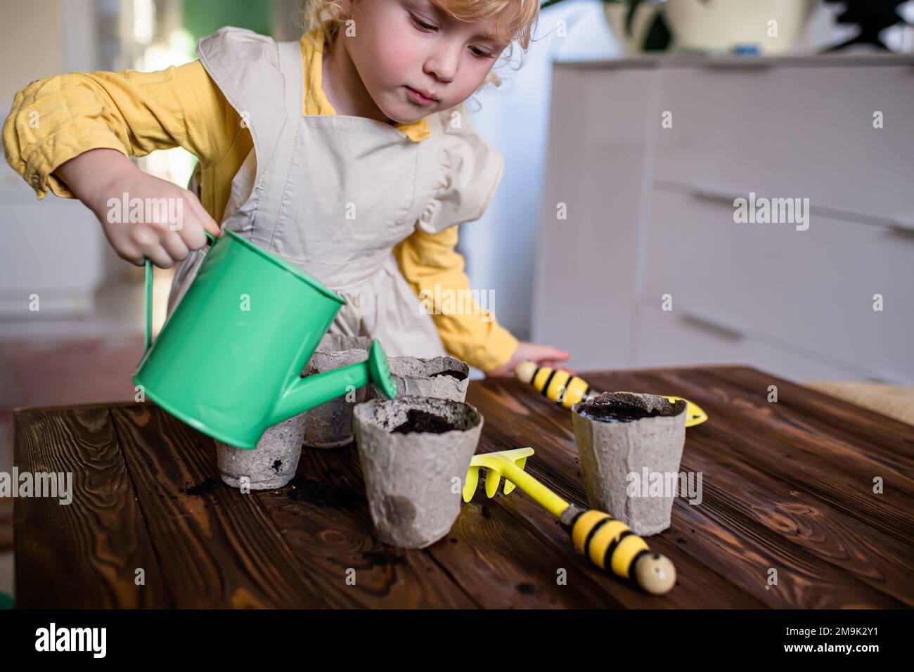 Watering the seeds. Growing seedlings for the farm in the spring ...