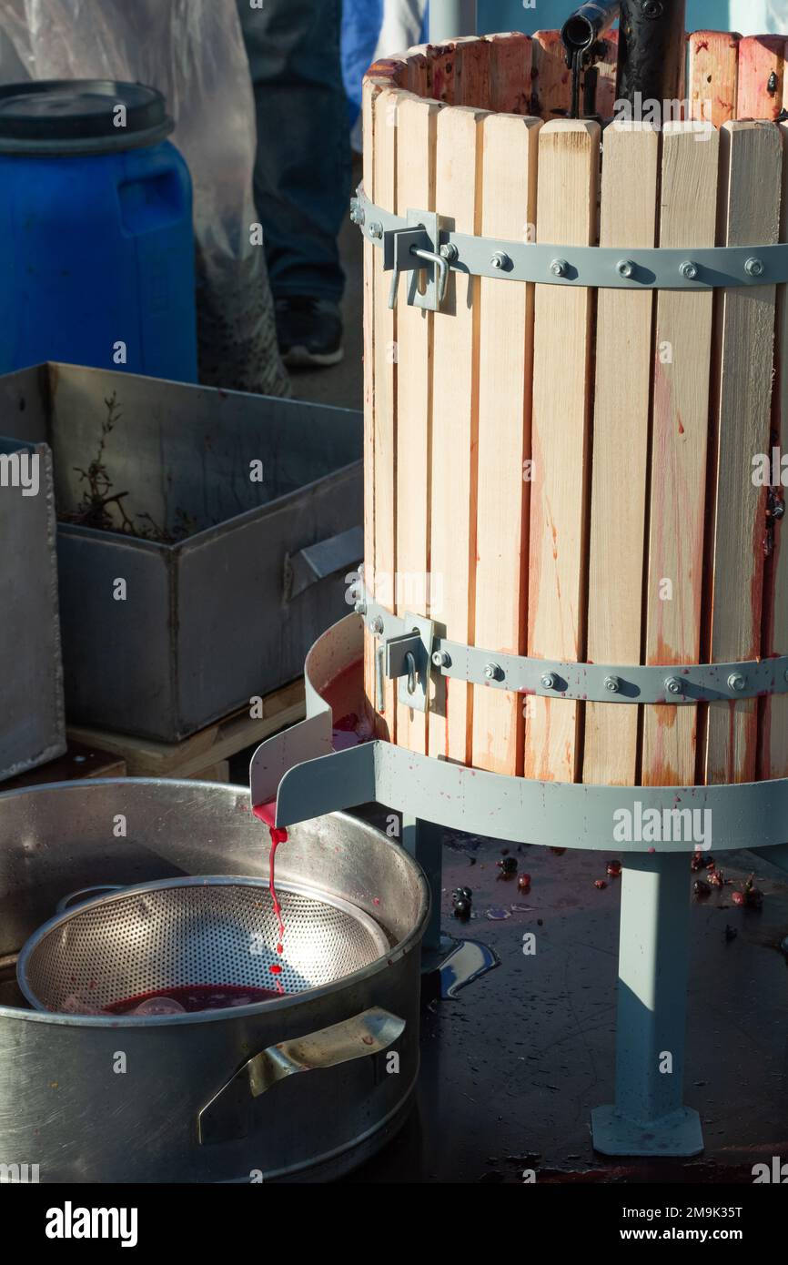 Grape juice flows into a metal bowl from a grape press. Demonstration ...