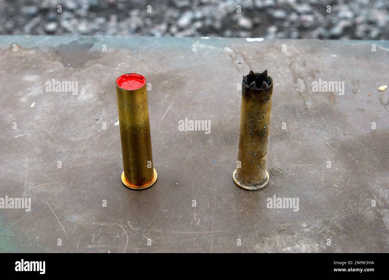 030202-M-1852W-008. Base: East Fuji Maneuver Area (FMA) Country: Japan ...