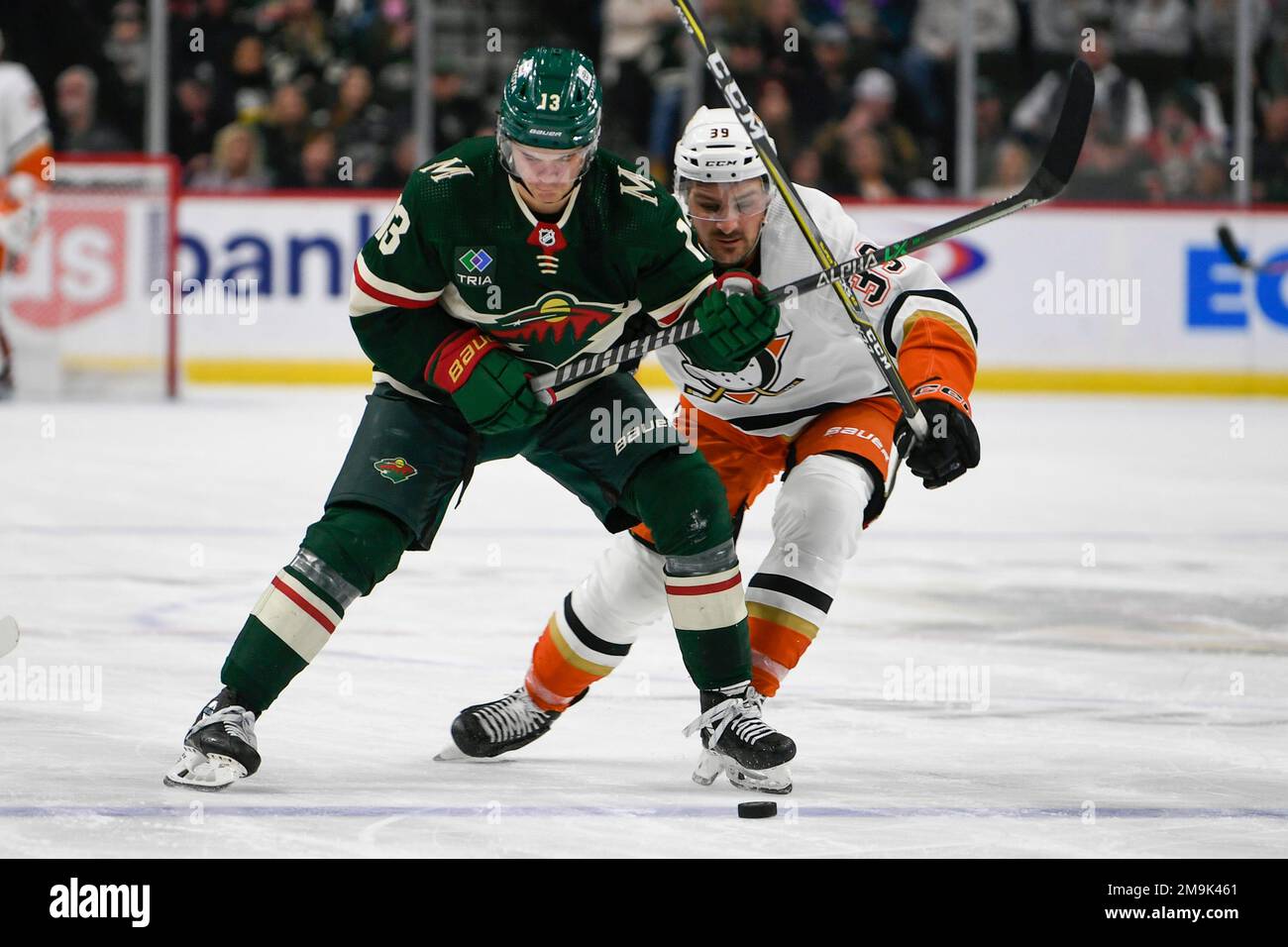 Minnesota Wild center Sam Steel, left, and Anaheim Ducks center Sam ...