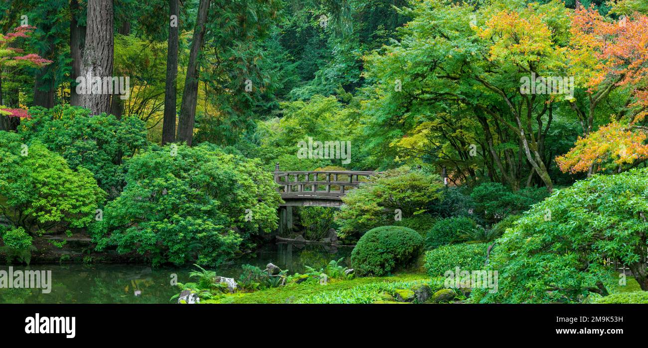 Green japanese garden portland hi-res stock photography and images - Alamy