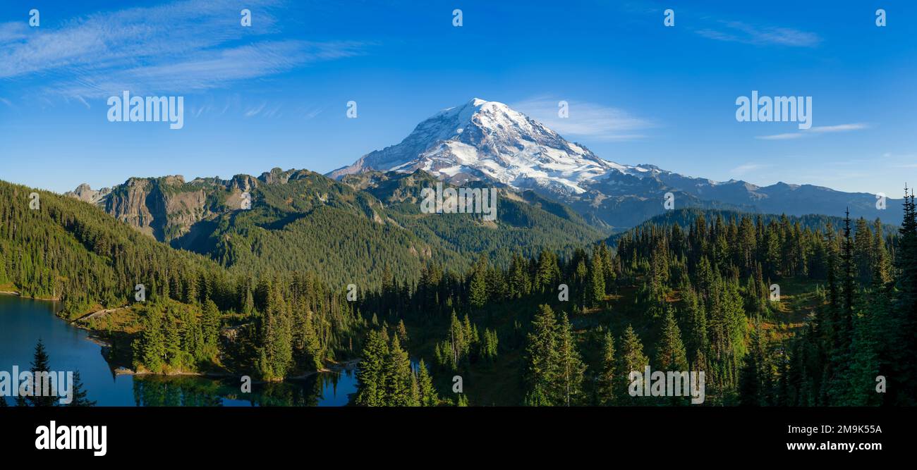 Mt. Rainier and green forest, Mt. Rainier National Park, Washington ...