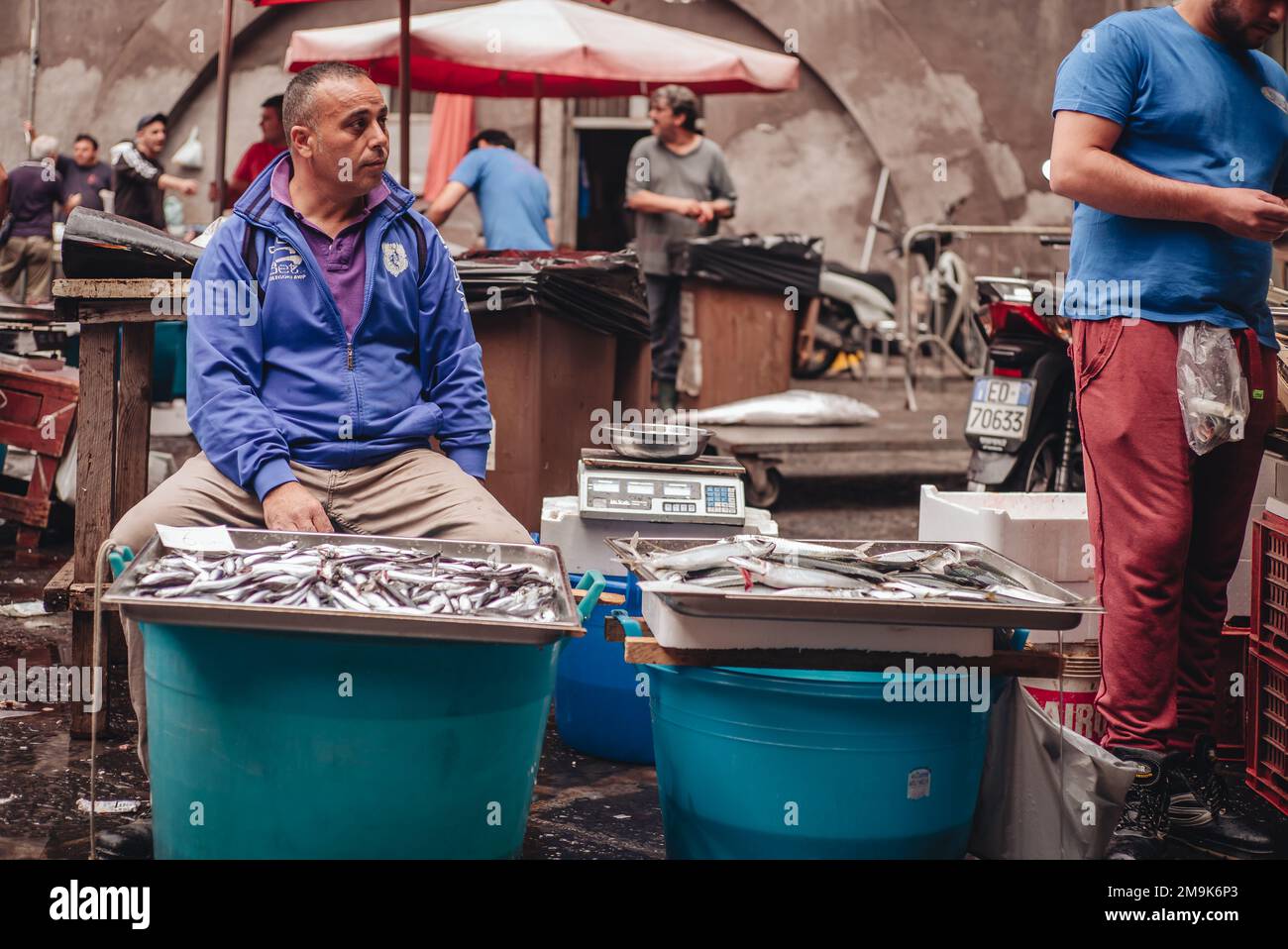 Authentic scenes from the local fish market in Catania, Sicily Stock ...