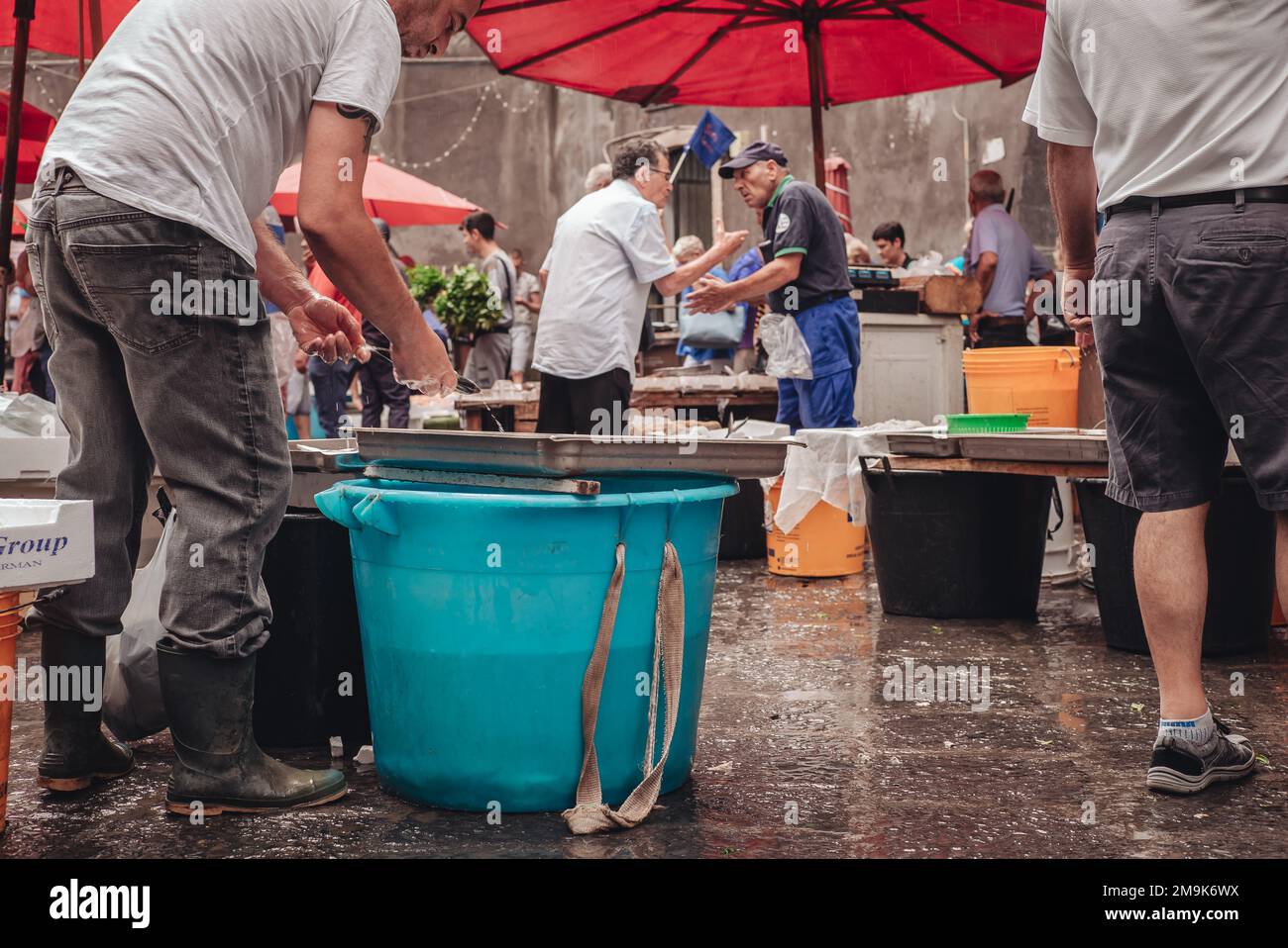 Authentic scenes from the local fish market in Catania, Sicily Stock ...