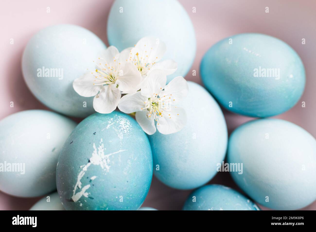 Blue Easter eggs with spring cherry blossom. Easter composition on grey ...