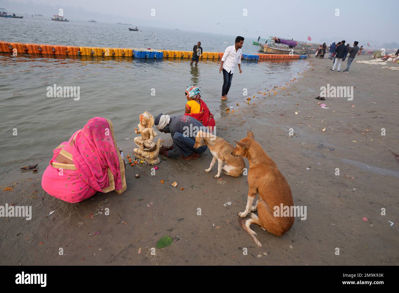 Two stray dogs sit anticipating food as Hindu devotees perform rituals ...