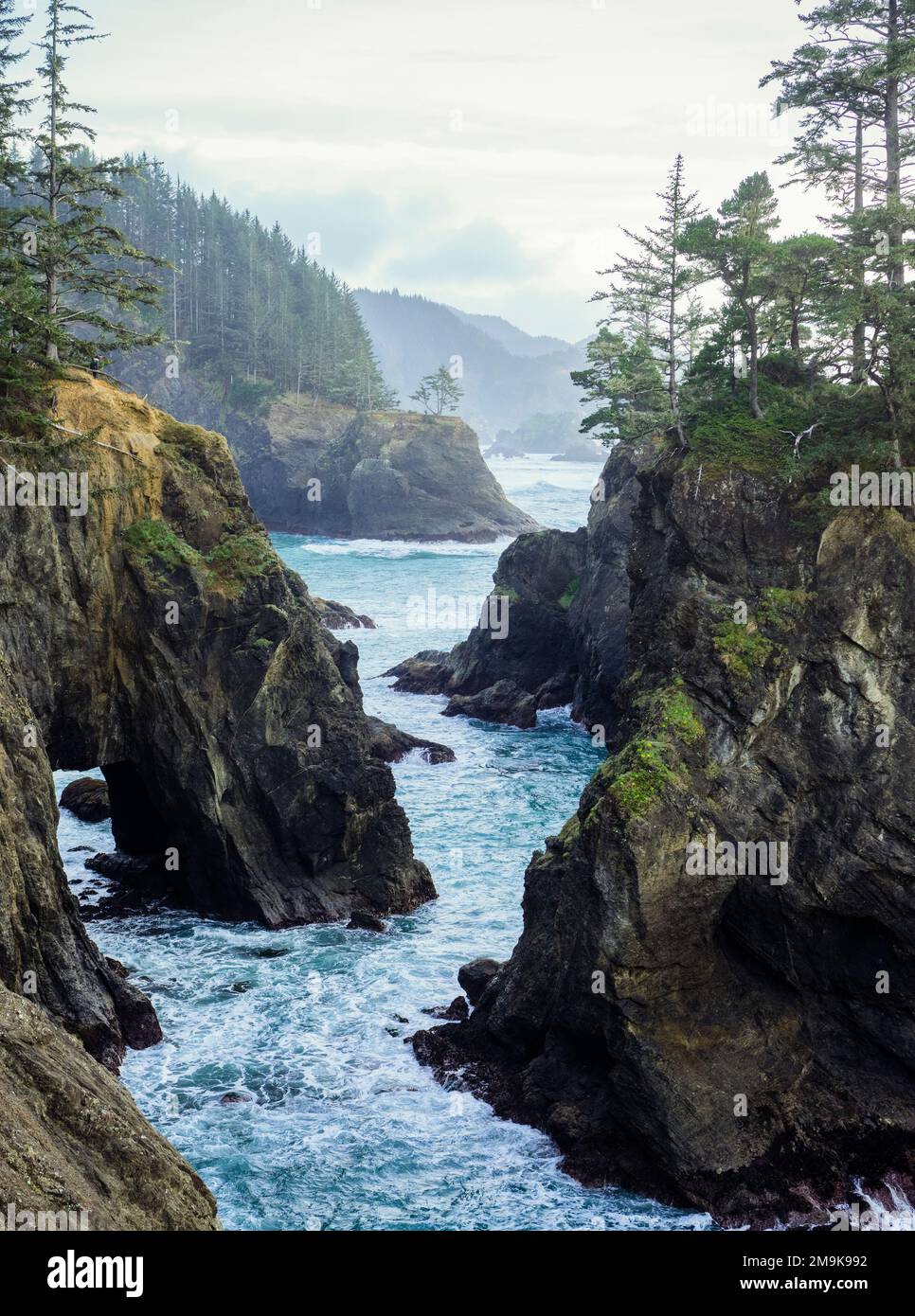 Inlet with natural bridge, Samuel H. Boardman State Scenic Corridor ...