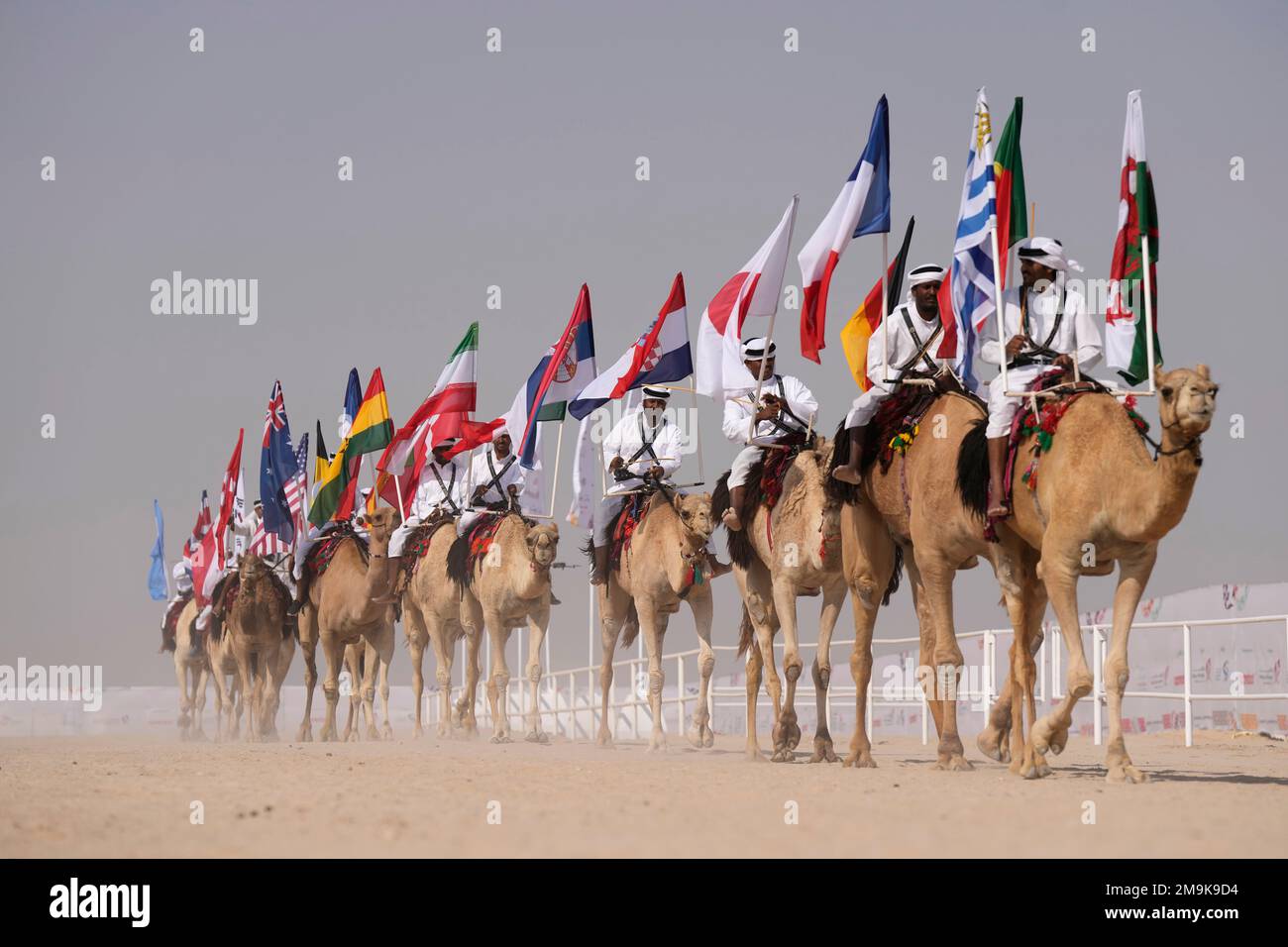Camel parade with flags during a pageant at the Qatar camel Mzayen Club ...