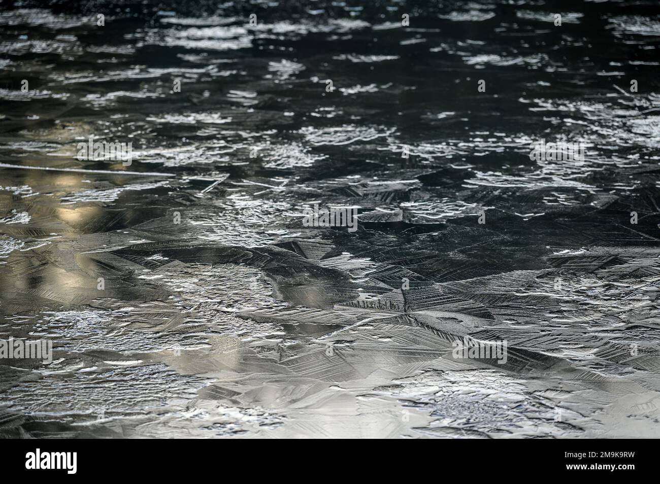 One of the Keston Ponds on Keston Common near the village of Keston in ...