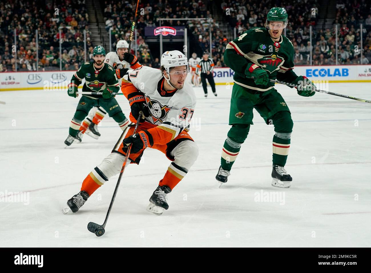 Anaheim Ducks center Mason McTavish (37) skates past Minnesota Wild ...