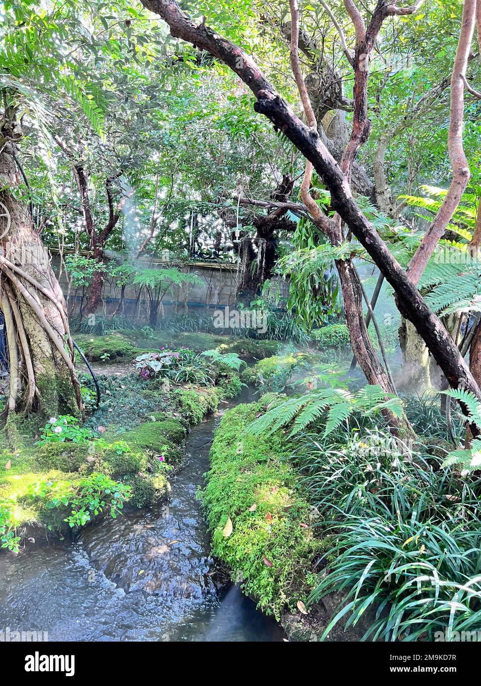 An image of a garden full of green trees, plants, and flowers under the ...