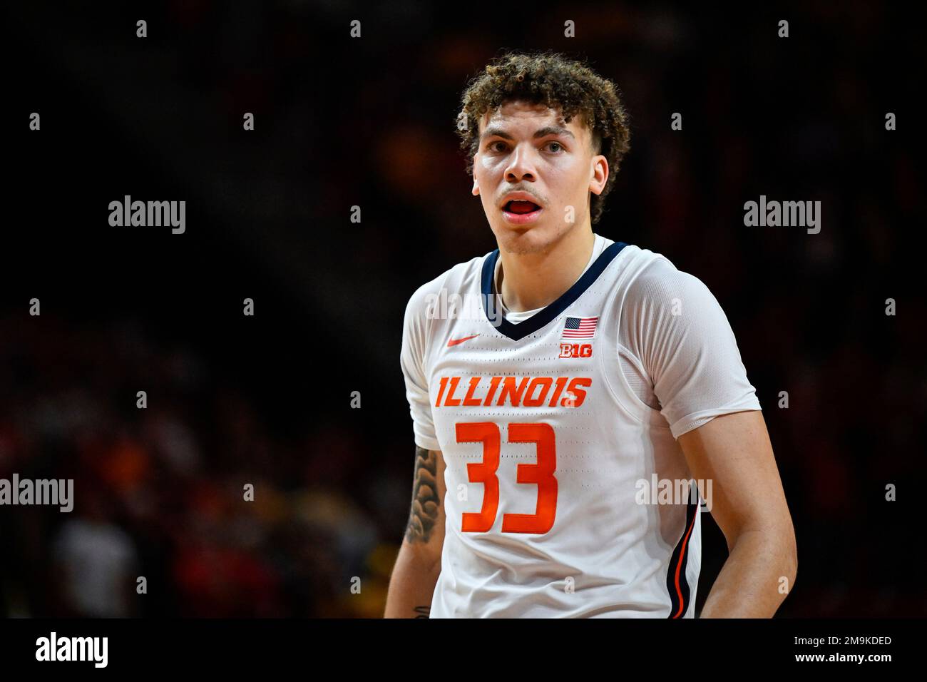 Illinois forward Coleman Hawkins (33) looks on during the second half ...