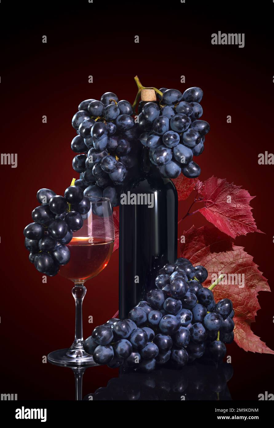 Grapes white background red hi-res stock photography and images - Alamy