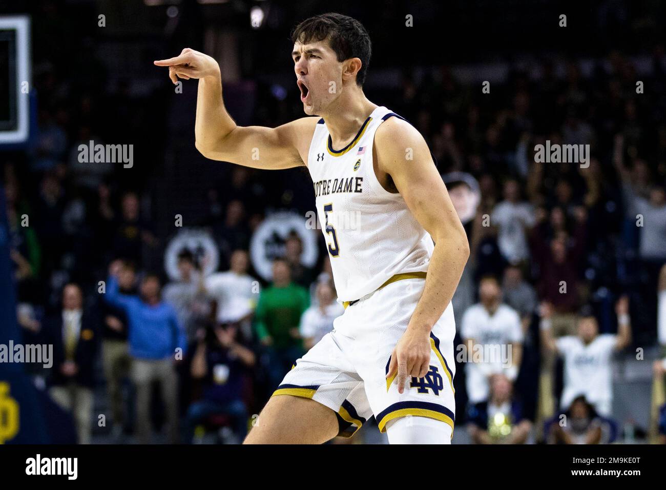 Notre Dame's Cormac Ryan (5) celebrates during the second half of an ...