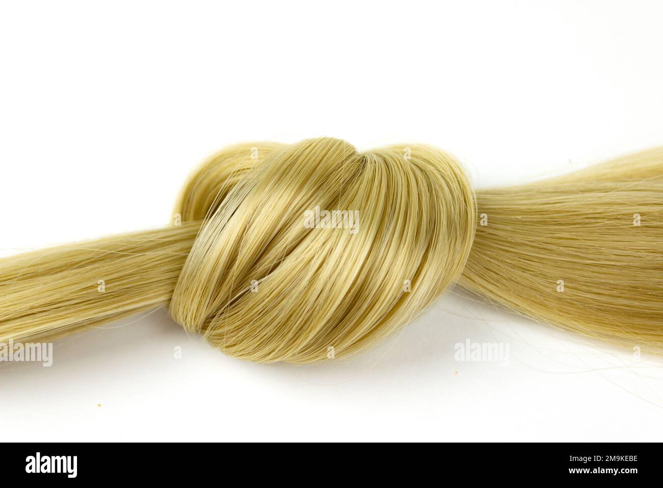 Strand of blonde hair lock tied in knot, hair care. Strand of blond ...