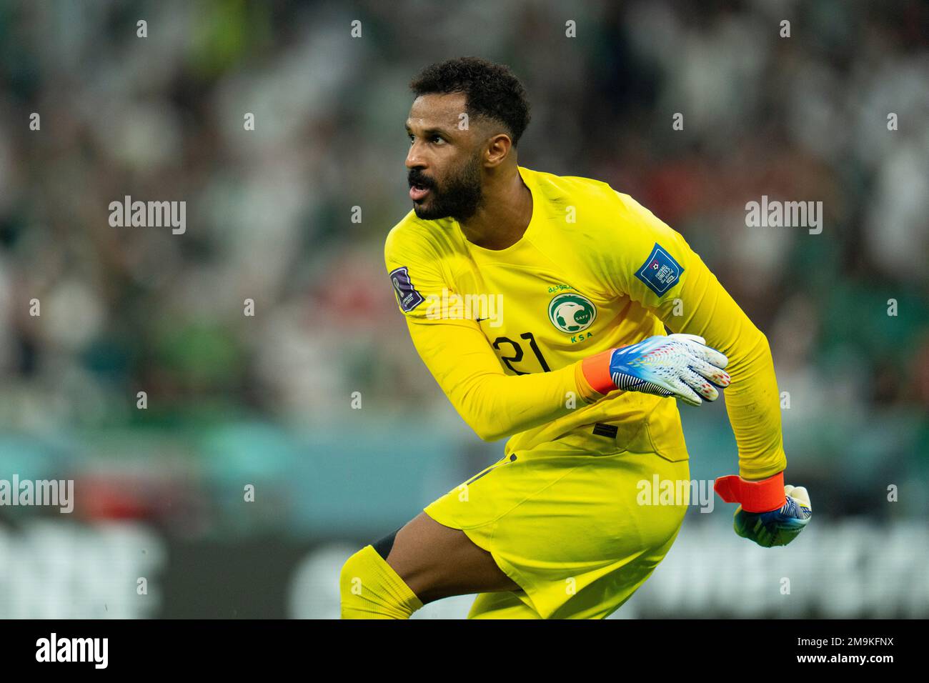 Saudi Arabia's goalkeeper Mohammed Al-Owais during the World Cup group C soccer match between ...
