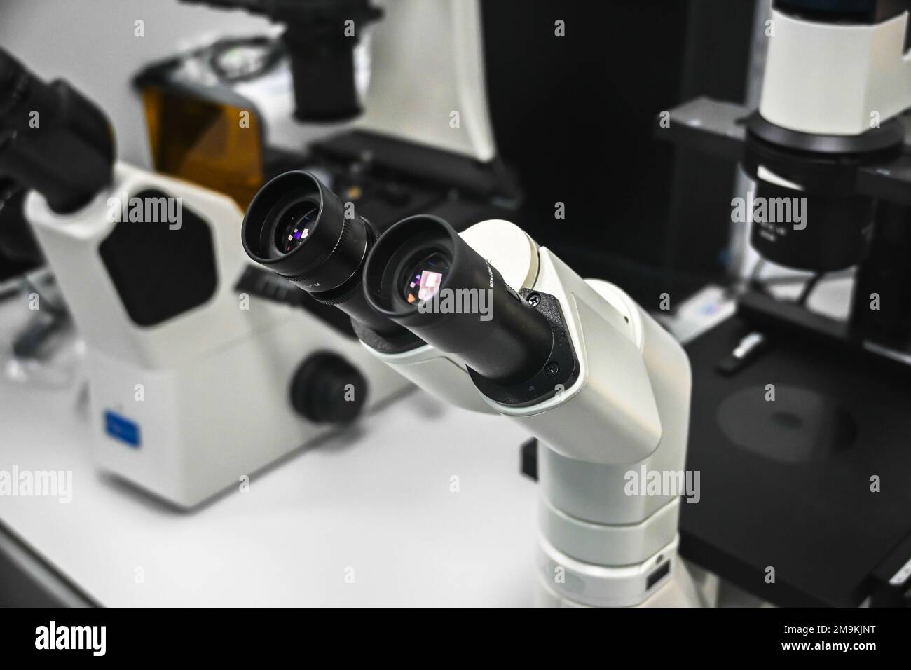 Laboratory microscope. A microscope in a biological laboratory Stock ...