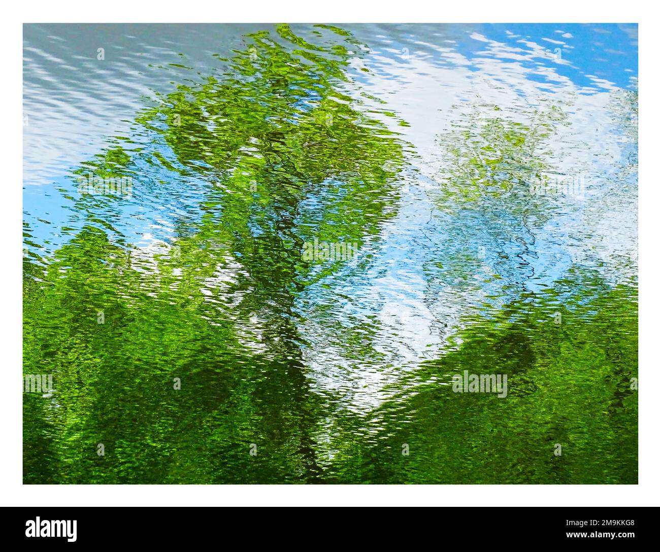 Abstract photograph of ripples and reflections of green trees in water ...