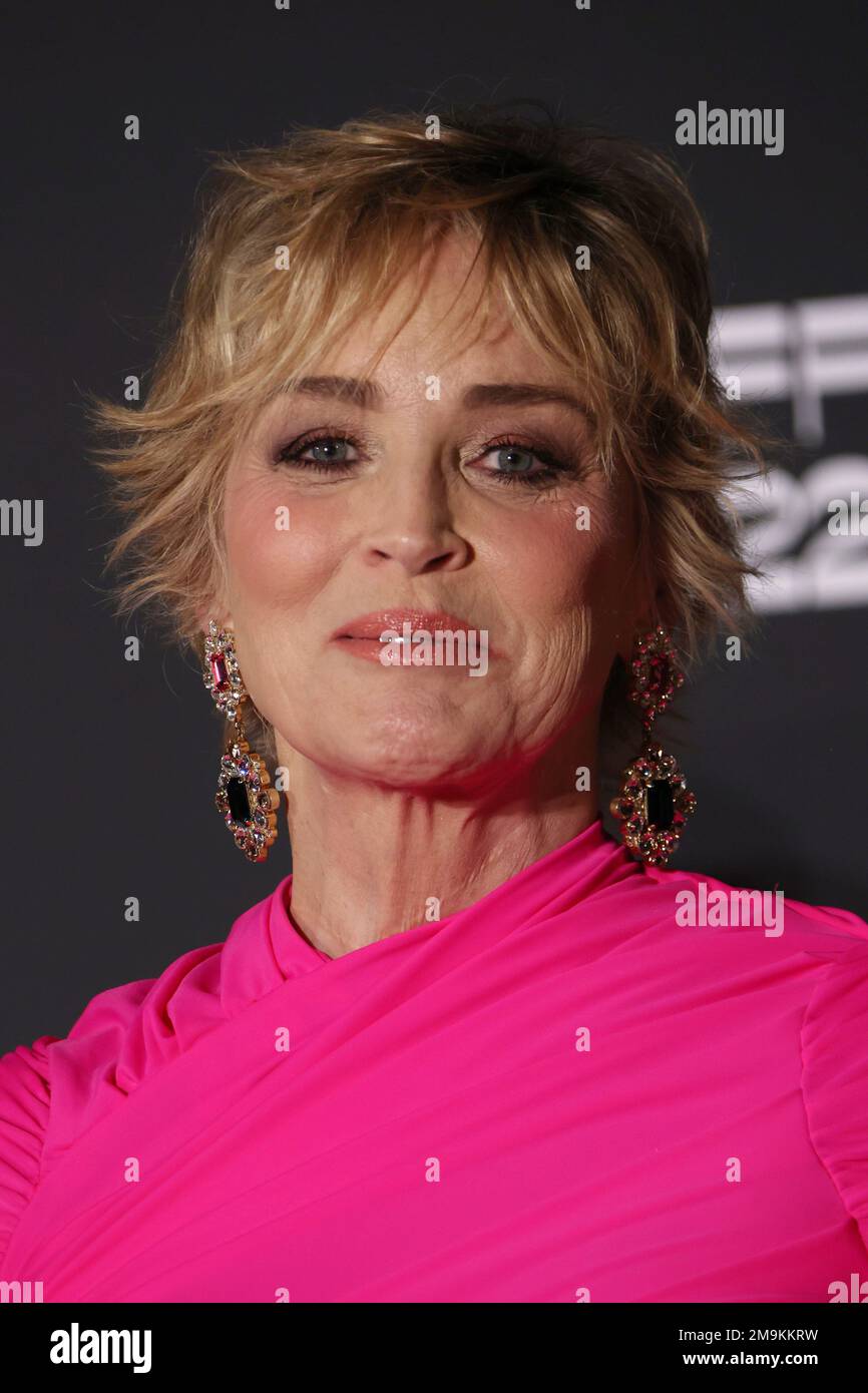 Sharon Stone poses for photographers upon arrival at the Women in ...