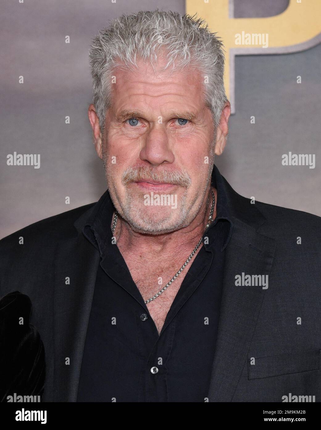 17 January 2023 - Hollywood, California - Ron Perlman. Los Angeles ...