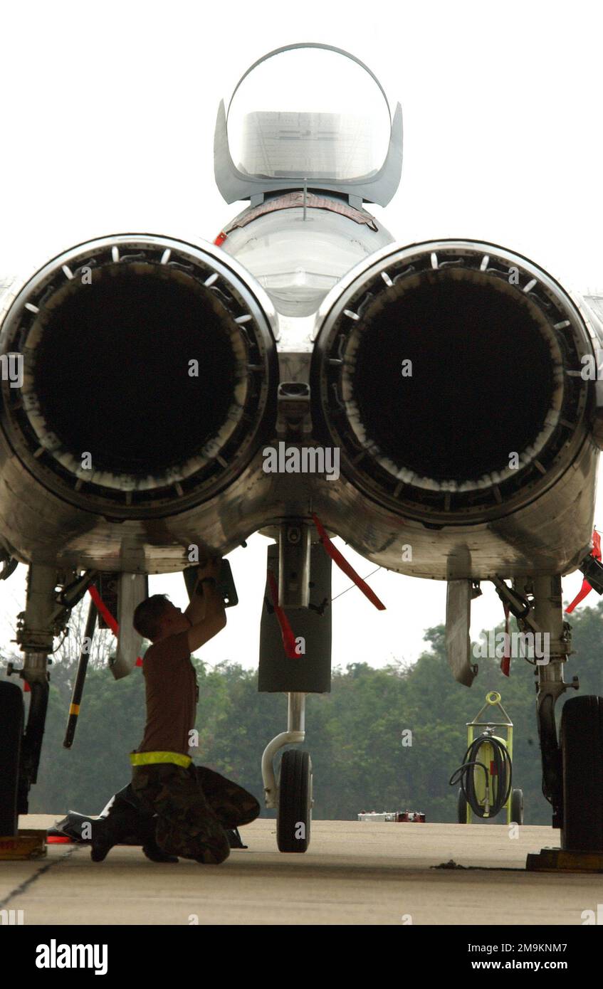 030221-F-3961R-007. Subject Operation/Series: COPE TIGER 2003 Base ...