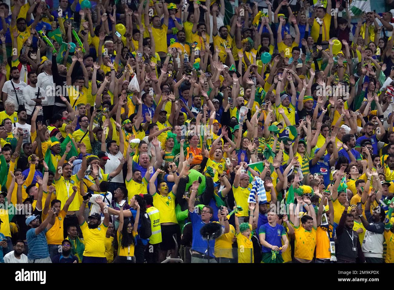 Brazil supporters cheer during the World Cup group G soccer match ...