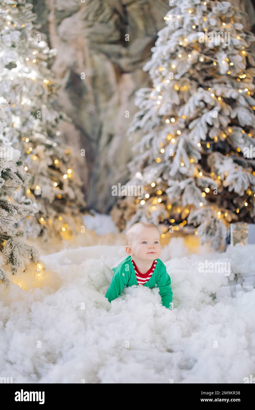 Cute baby boy crawls on floor among artificial snow and Christmas trees ...
