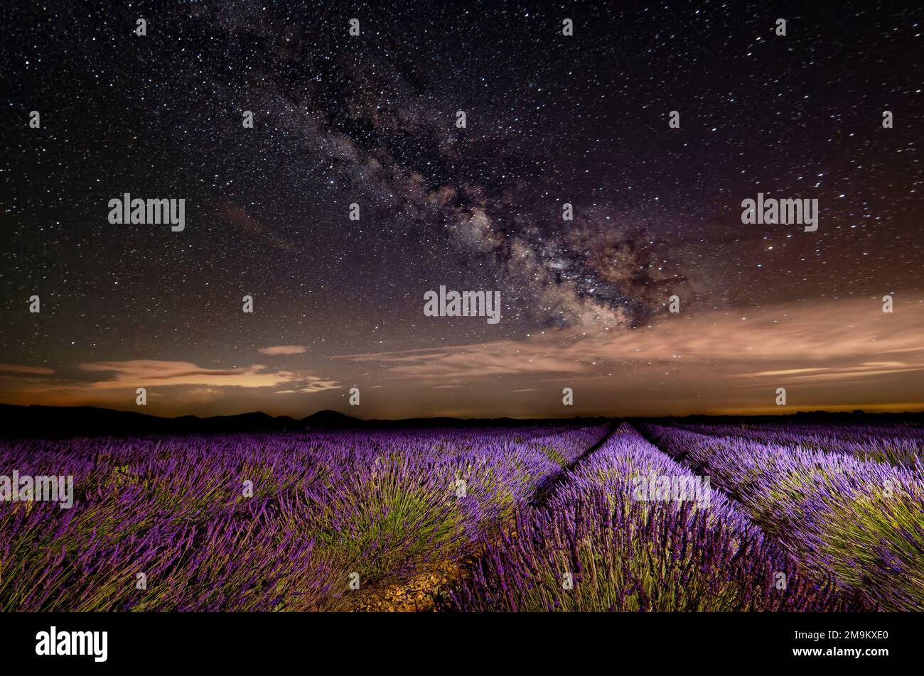 Night sky over the lavender fields, Provence, France Stock Photo - Alamy