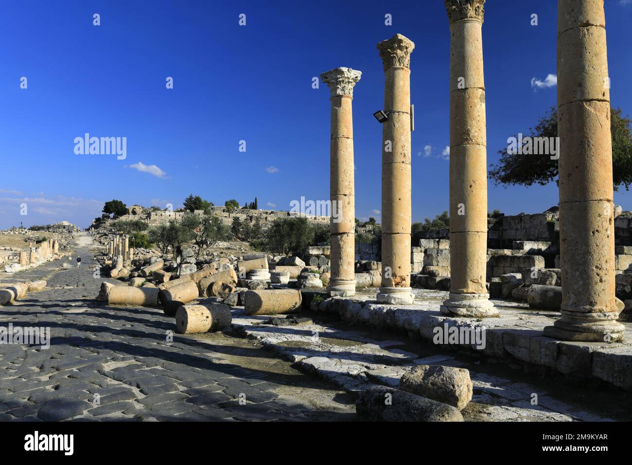 View over the ruins of the Decumanus Maximus street, Umm Qais town ...