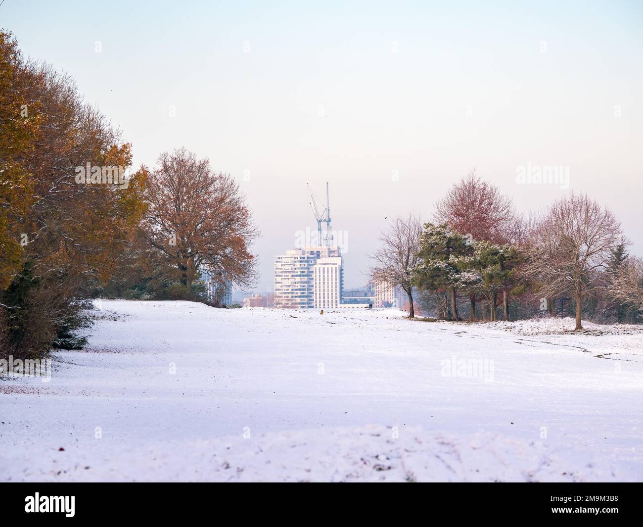 Croham hurst hi-res stock photography and images - Alamy