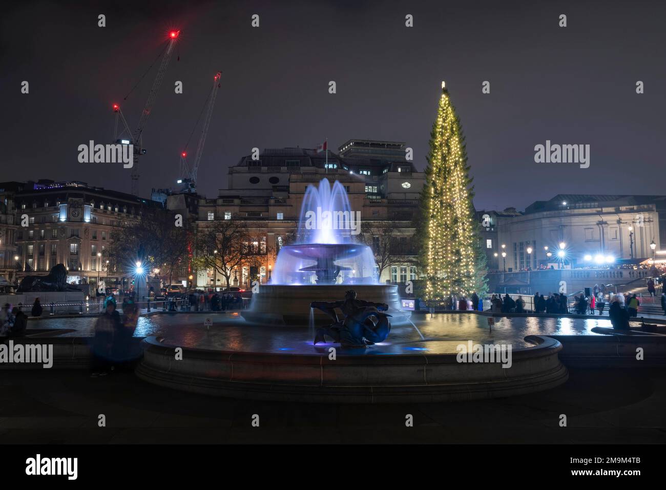 The Norwegian Christmas tree stands with its lights turned on at the ...