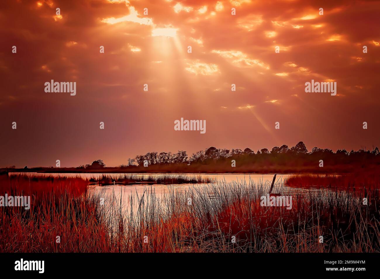 The sun sets over marsh grass, Jan. 17, 2023, in Bayou La Batre ...