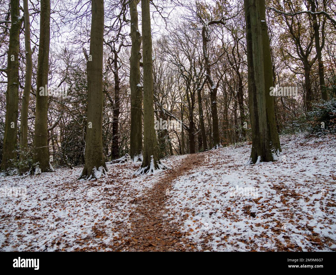 Croham hurst hi-res stock photography and images - Alamy