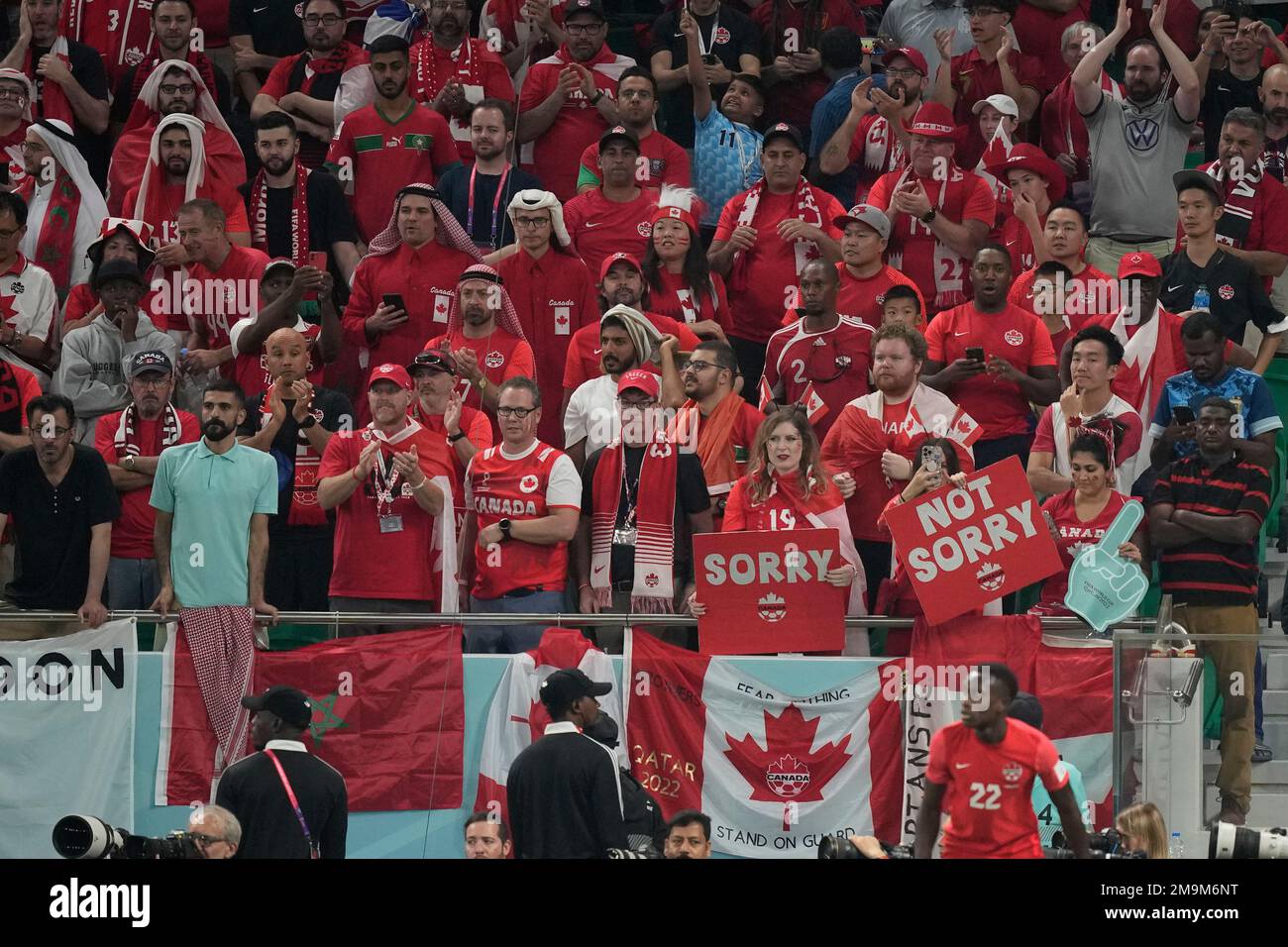 Canada's soccer team fas watch the World Cup group F soccer match ...