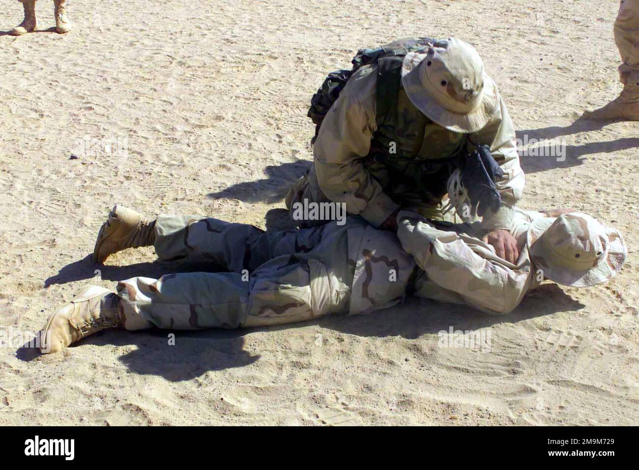 Combat coyote hi-res stock photography and images - Alamy