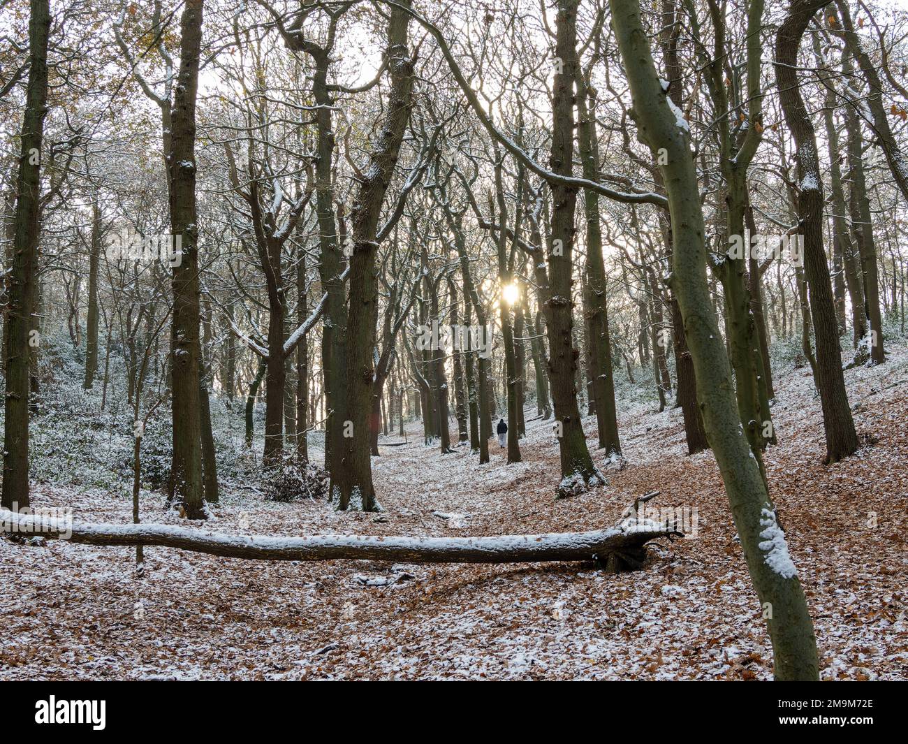 Croham hurst hi-res stock photography and images - Alamy