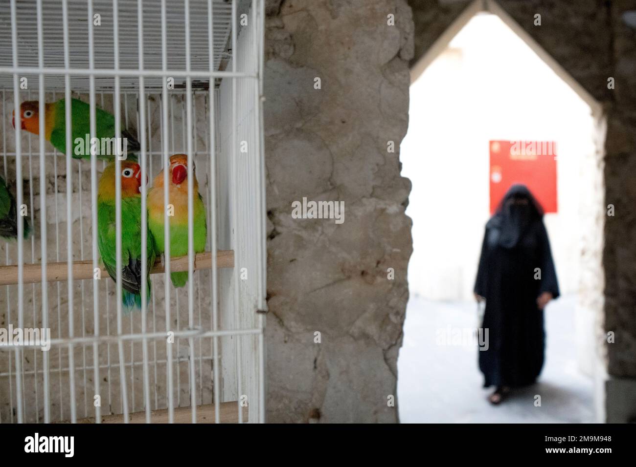 Parrots are seen in a cage as a woman wears traditional clothing at the ...