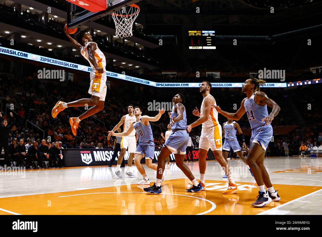 Julianne Phillips 2022