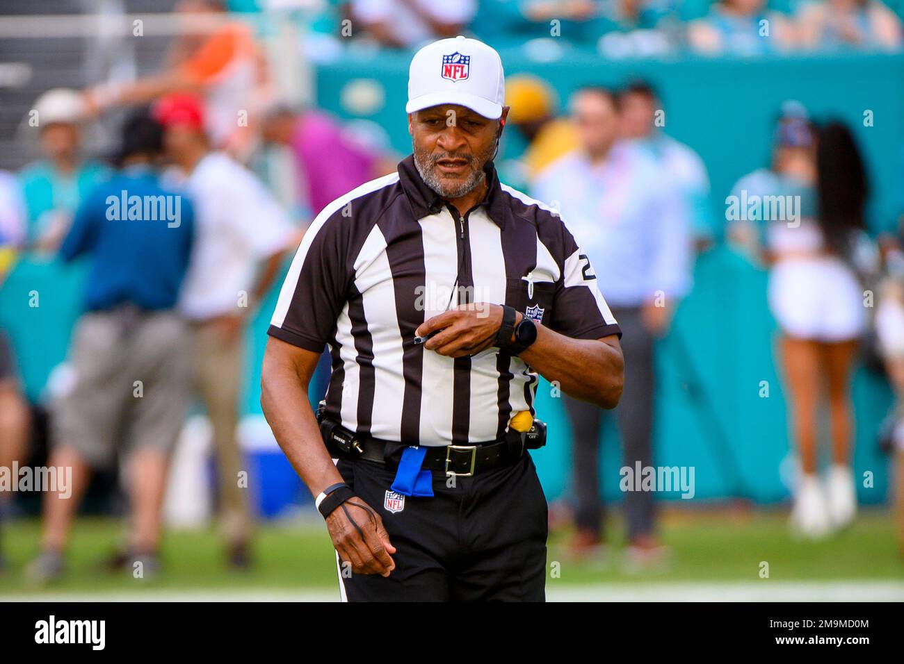 NFL referee Jerome Boger stands on the field during an NFL football ...